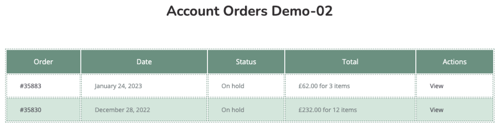 Account Orders Page – Ultimate Store Kit