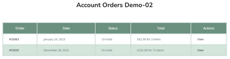 Account Orders Page – Ultimate Store Kit